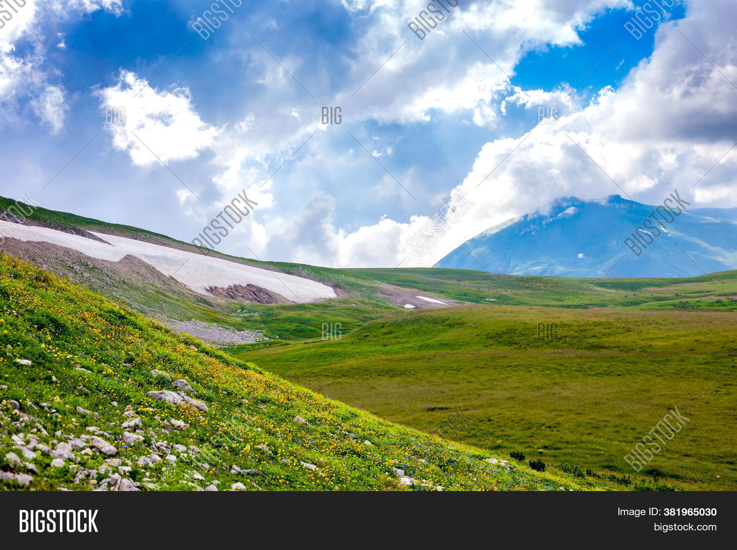 Beautiful Green Image & Photo (Free Trial) | Bigstock