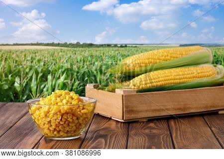 Fresh Corn Cobs Box Image & Photo (Free Trial) | Bigstock