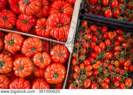 Variety Tomatoes On Image & Photo (Free Trial) | Bigstock