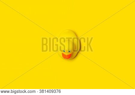Rubber Duck Top View Images, Illustrations & Vectors (Free) - Bigstock