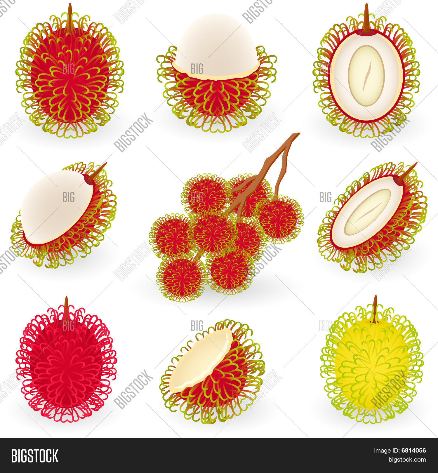 Icon Set Rambutan Vector & Photo (Free Trial) | Bigstock