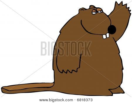 Waving Beaver Image & Photo (Free Trial) | Bigstock