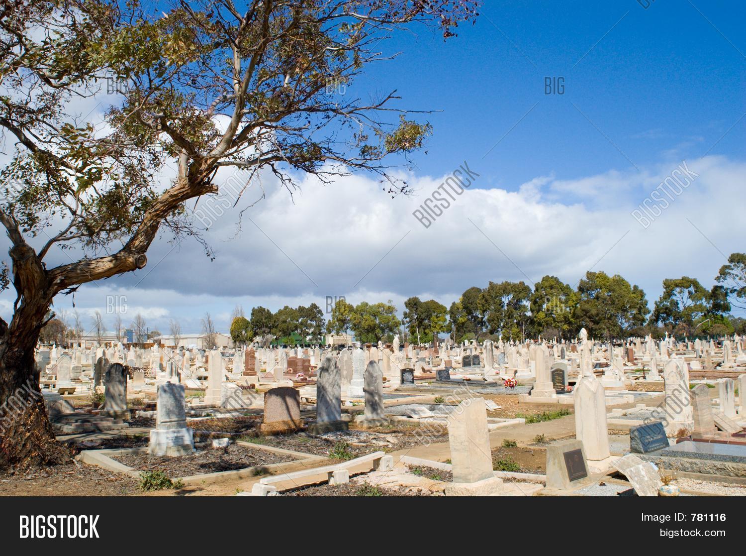 Australian Cemetery Image & Photo (Free Trial) | Bigstock