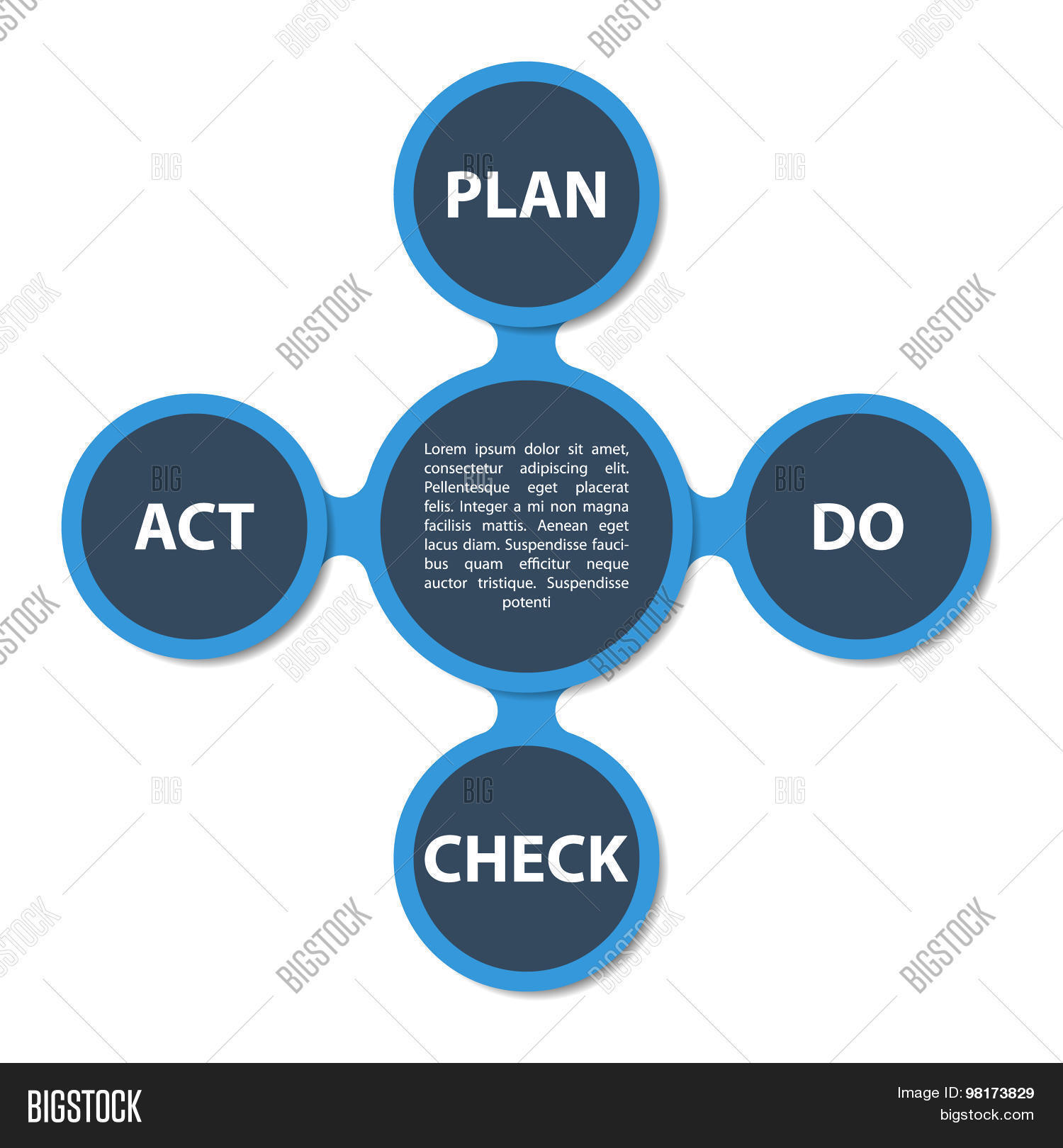 Pdca Circles Vector And Photo Free Trial Bigstock