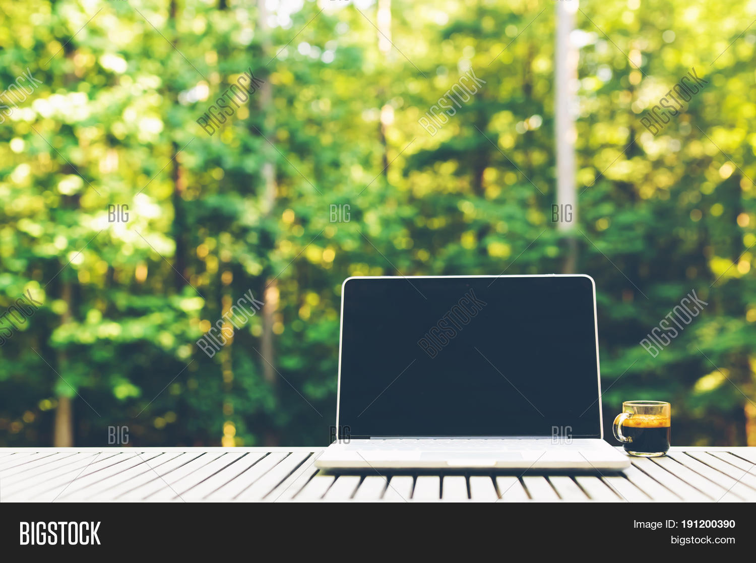 Laptop Computer Forest Image & Photo (Free Trial) | Bigstock