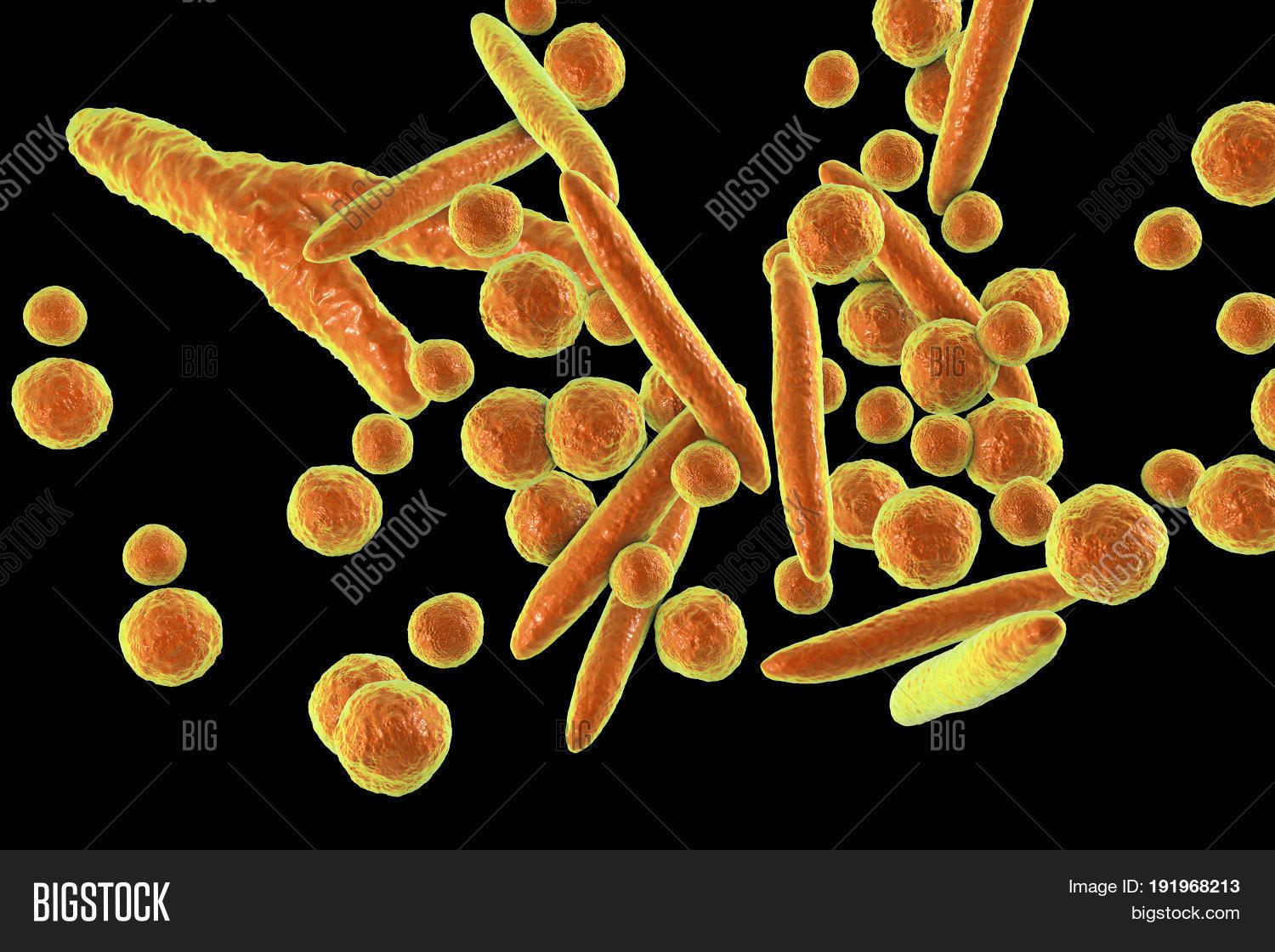 Mycoplasma Bacteria Image & Photo (Free Trial) | Bigstock