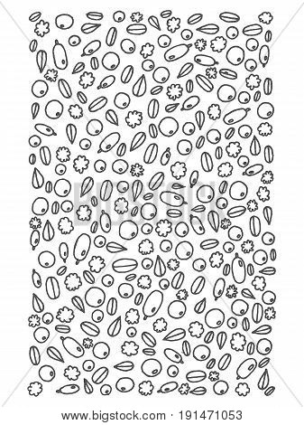 cranberry coloring pages