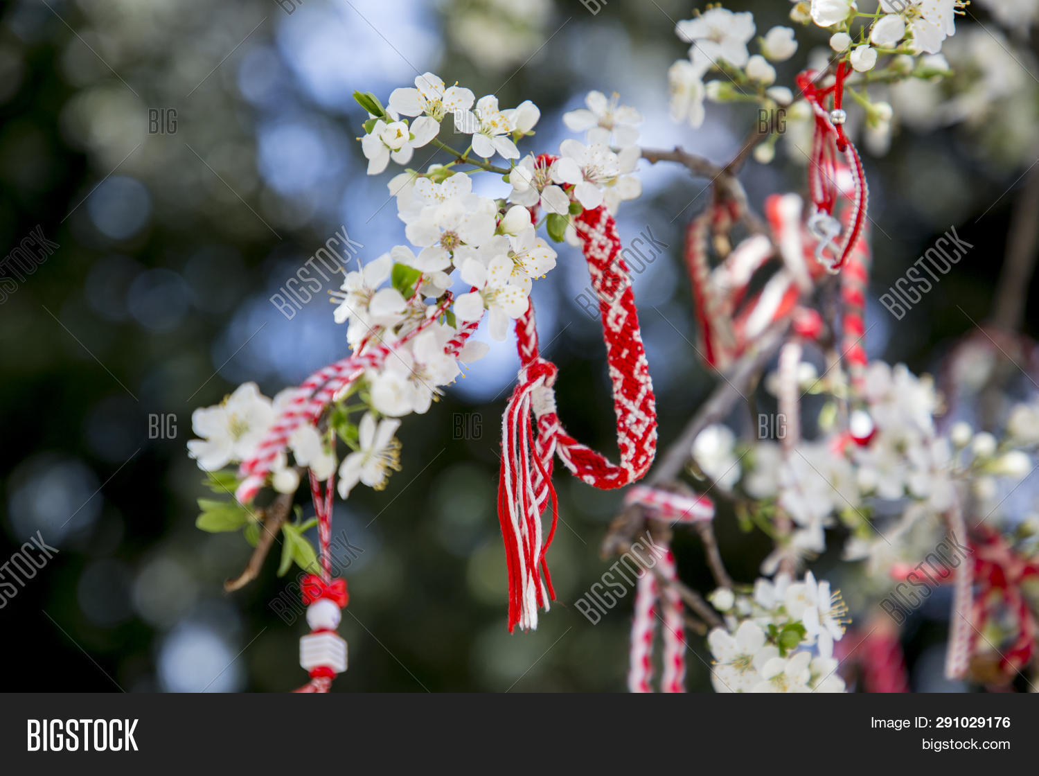 Martenitsa Image & Photo (Free Trial) | Bigstock