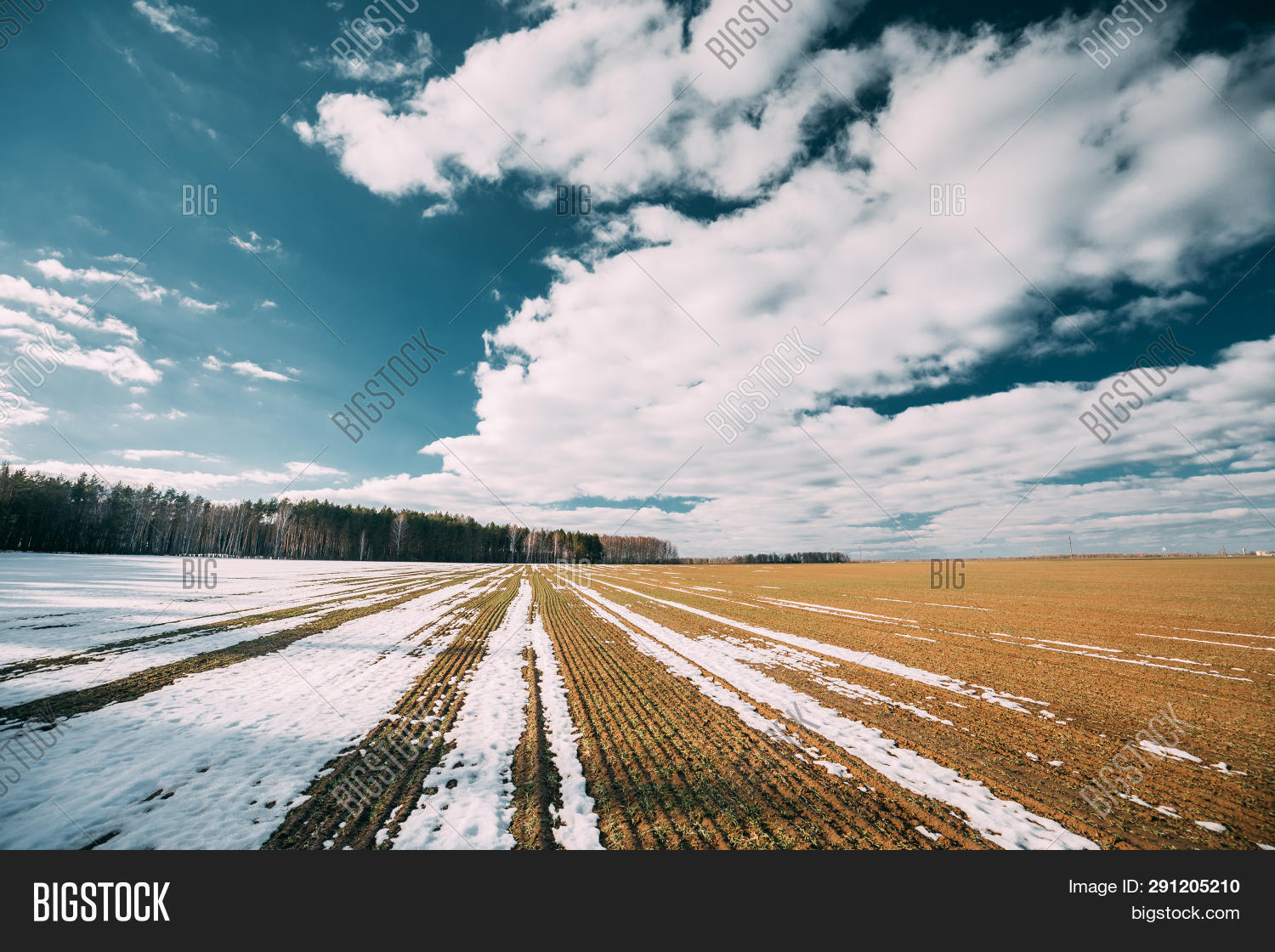 Spring Plowed Field Image & Photo (Free Trial) | Bigstock