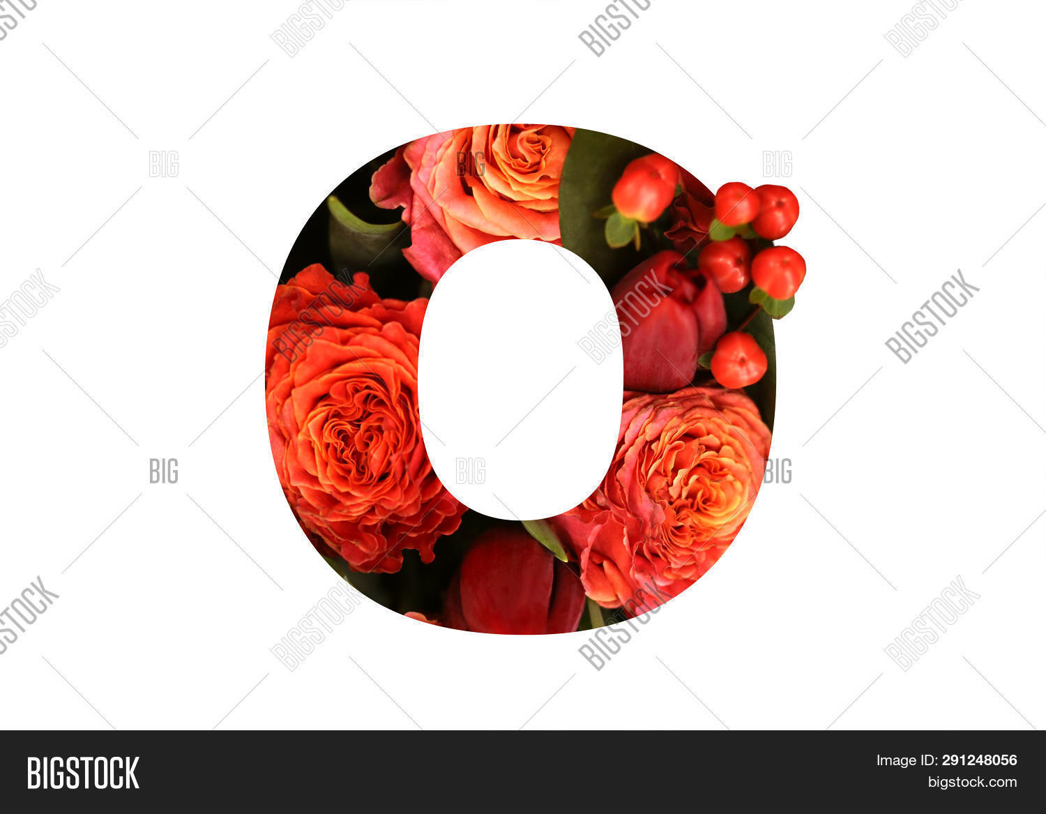 Floral Font Letter O Image & Photo (Free Trial) | Bigstock