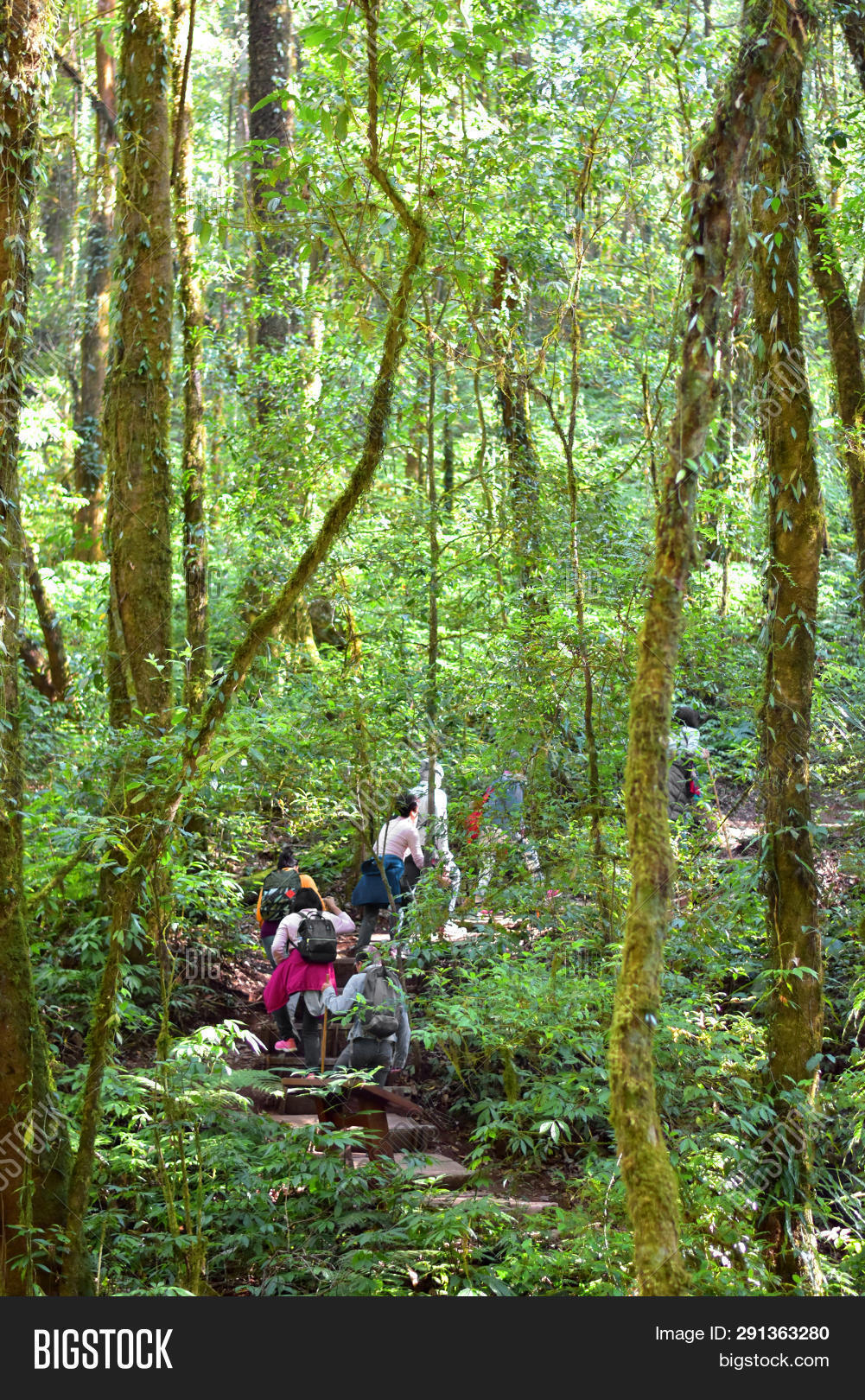 Travelers Traveling On Image & Photo (Free Trial) | Bigstock