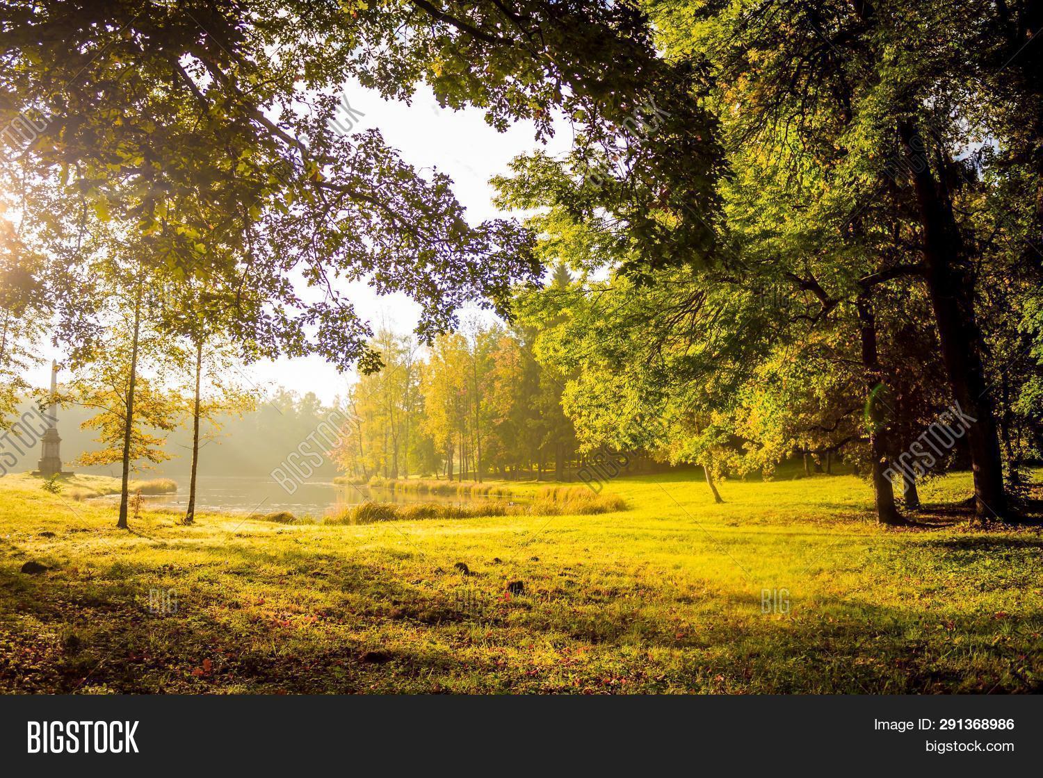 Morning Misty Autumn Image & Photo (Free Trial) | Bigstock