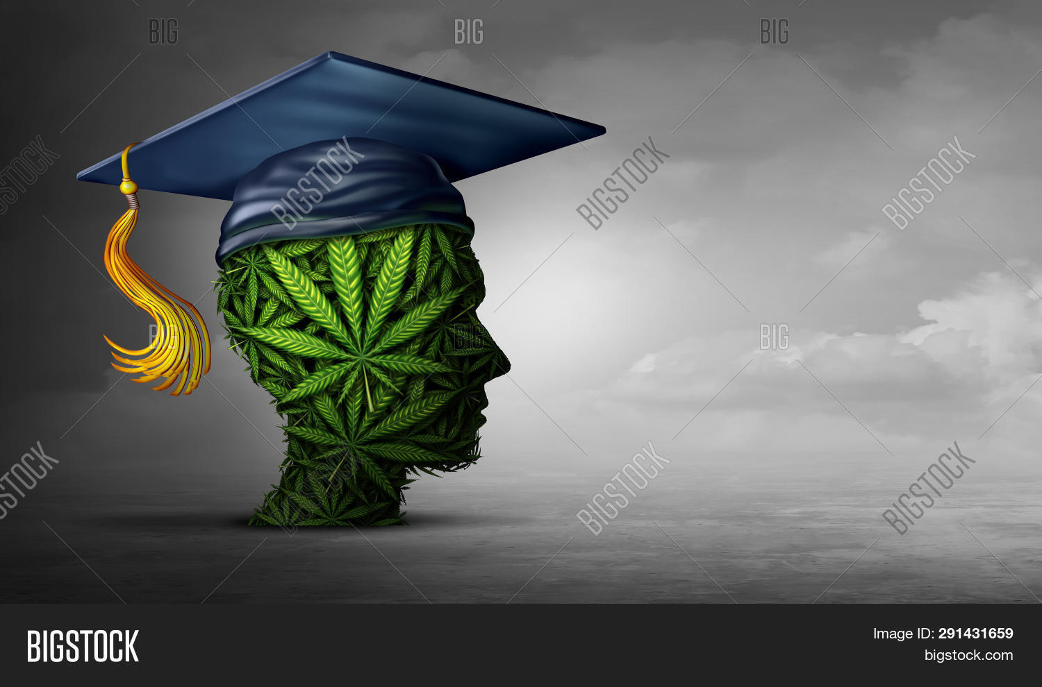 Cannabis Education Image & Photo (Free Trial) | Bigstock