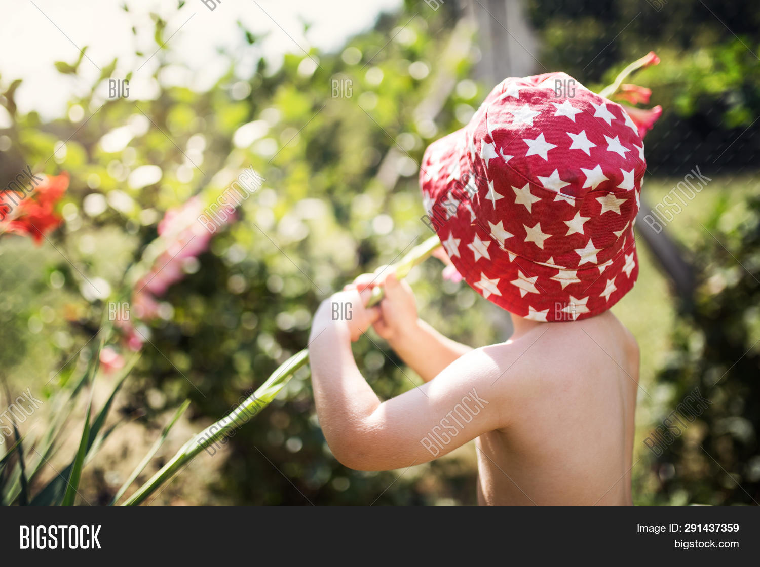 Rear View Small Boy Image & Photo (Free Trial) | Bigstock