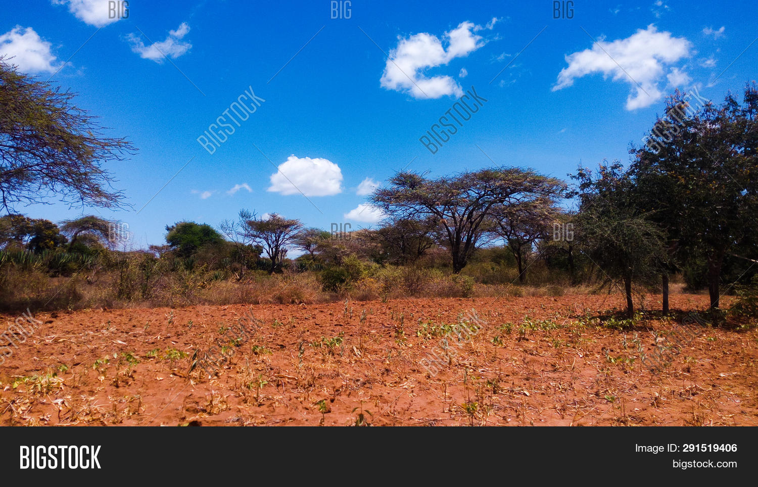 Land Semi-arid Area Image & Photo (Free Trial) | Bigstock