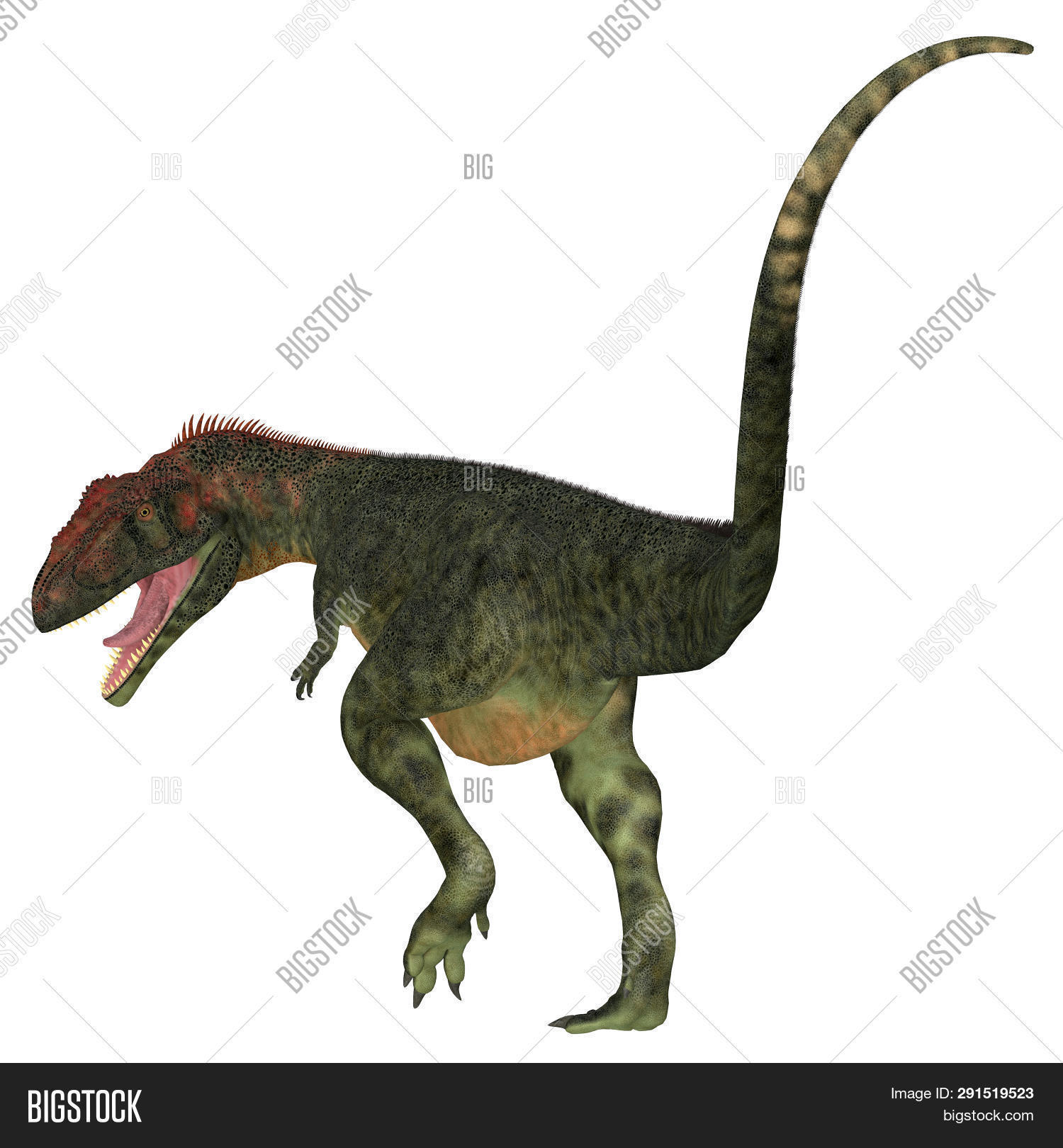 Mapusaurus Dinosaur Image & Photo (Free Trial) | Bigstock