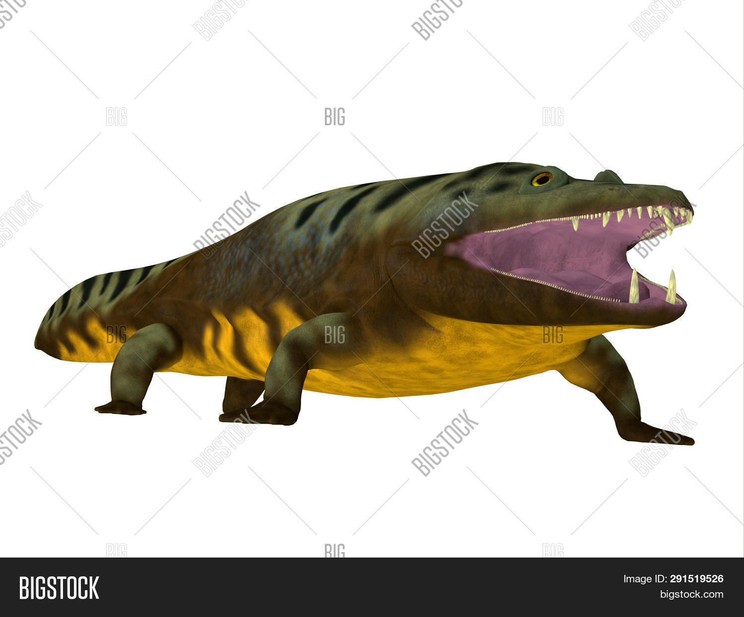 Imagen y foto Mastodonsaurus (prueba gratis) | Bigstock