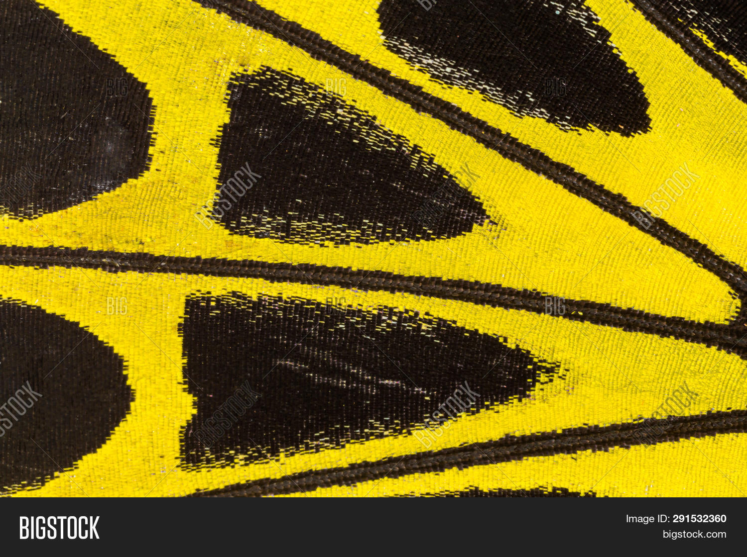 Butterfly Wing Texture Image & Photo (Free Trial) | Bigstock