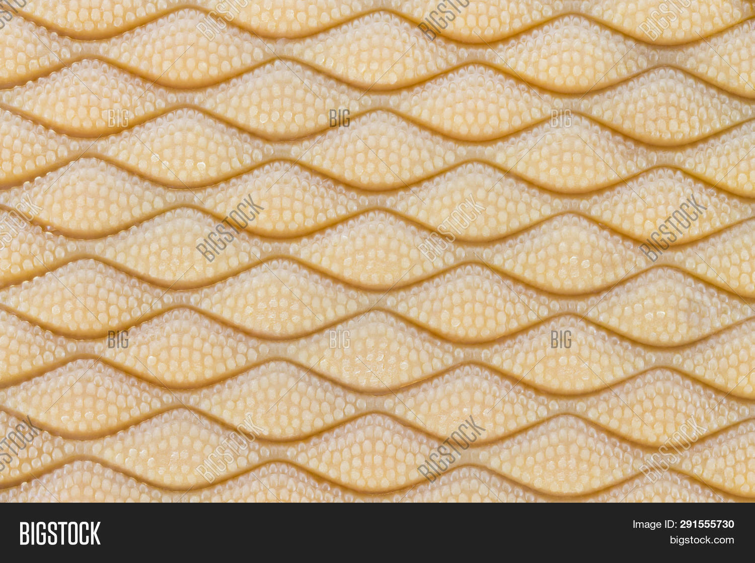 Shoes Outsole Pattern Image & Photo (Free Trial) | Bigstock