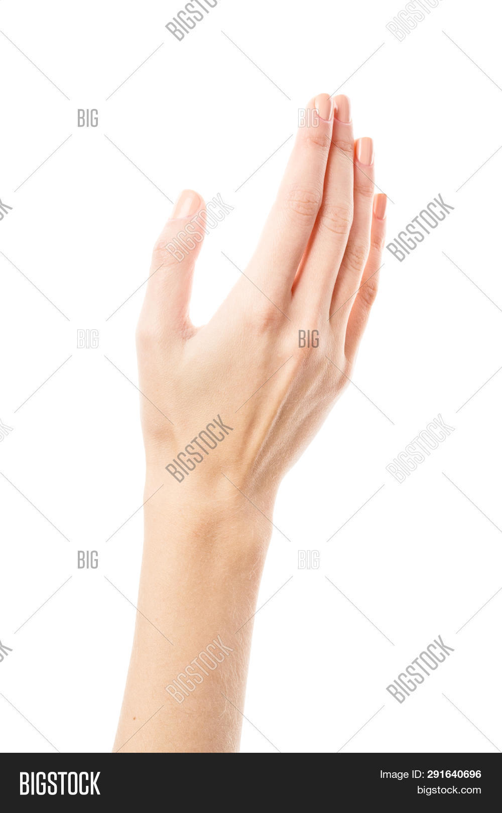 Female Hand Isolated Image & Photo (Free Trial) | Bigstock