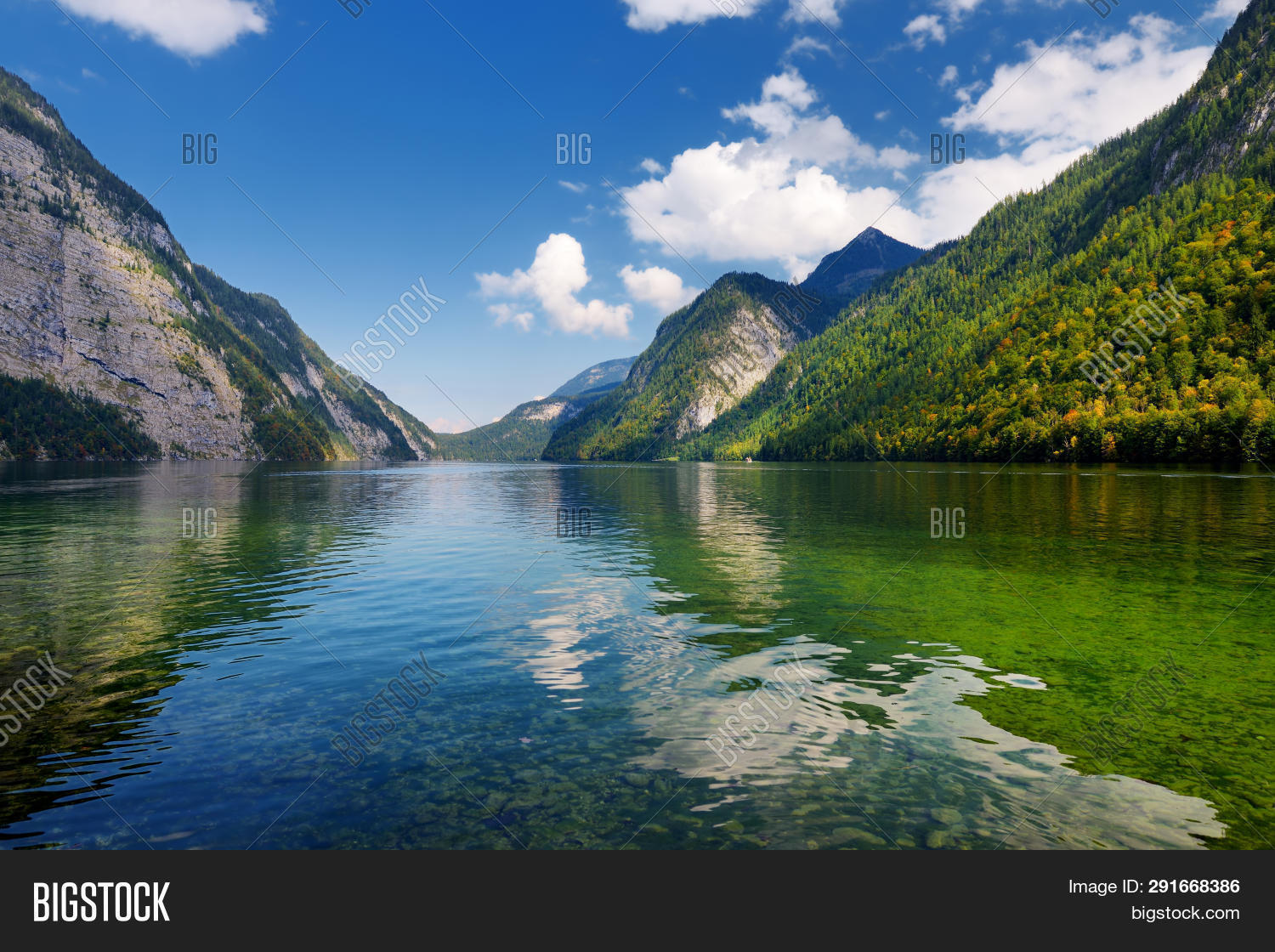 Stunning Deep Green Image & Photo (Free Trial) | Bigstock