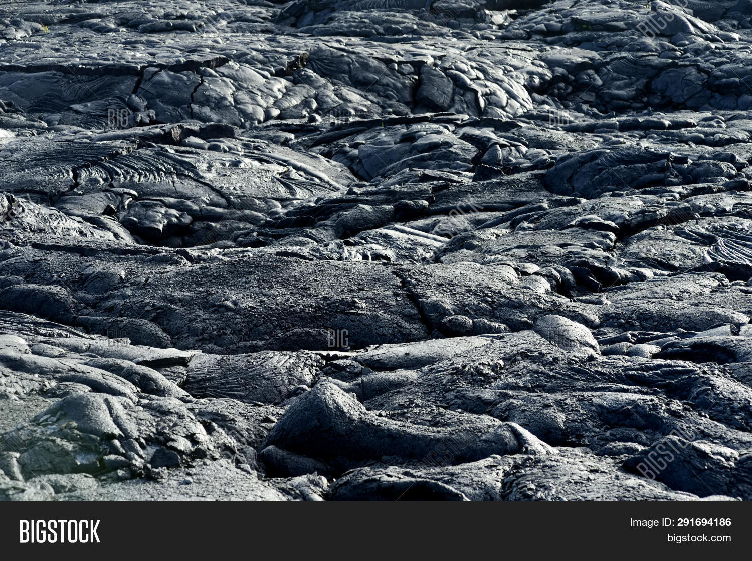 Smooth, Undulating Image & Photo (Free Trial) | Bigstock