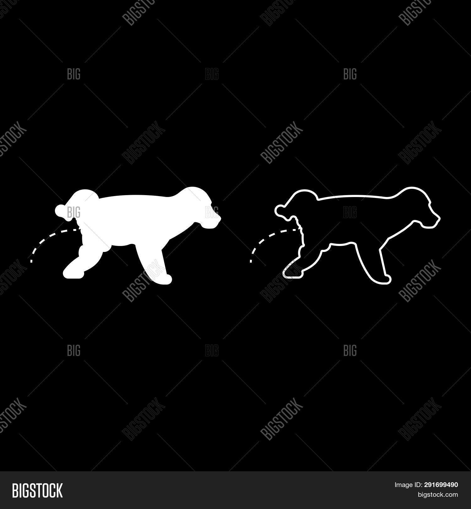 Pissing Dog Puppy Vector & Photo (Free Trial) | Bigstock