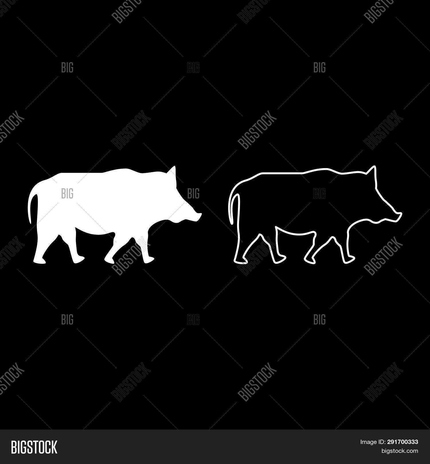 Wild Boar Wild Pig Vector & Photo (Free Trial) | Bigstock