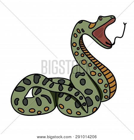 Green Snake Anaconda Vector & Photo (Free Trial) | Bigstock