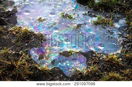 Vibrant Colors Seen Image & Photo (Free Trial) | Bigstock