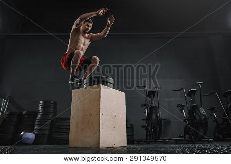 Athlete Doing Box Jump Image & Photo (Free Trial) | Bigstock