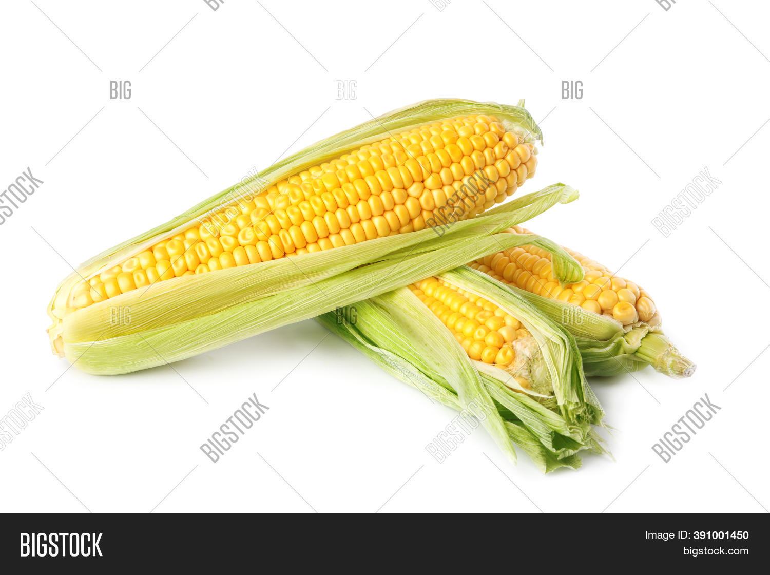 Ripe Raw Corn Cobs Image & Photo (Free Trial) | Bigstock