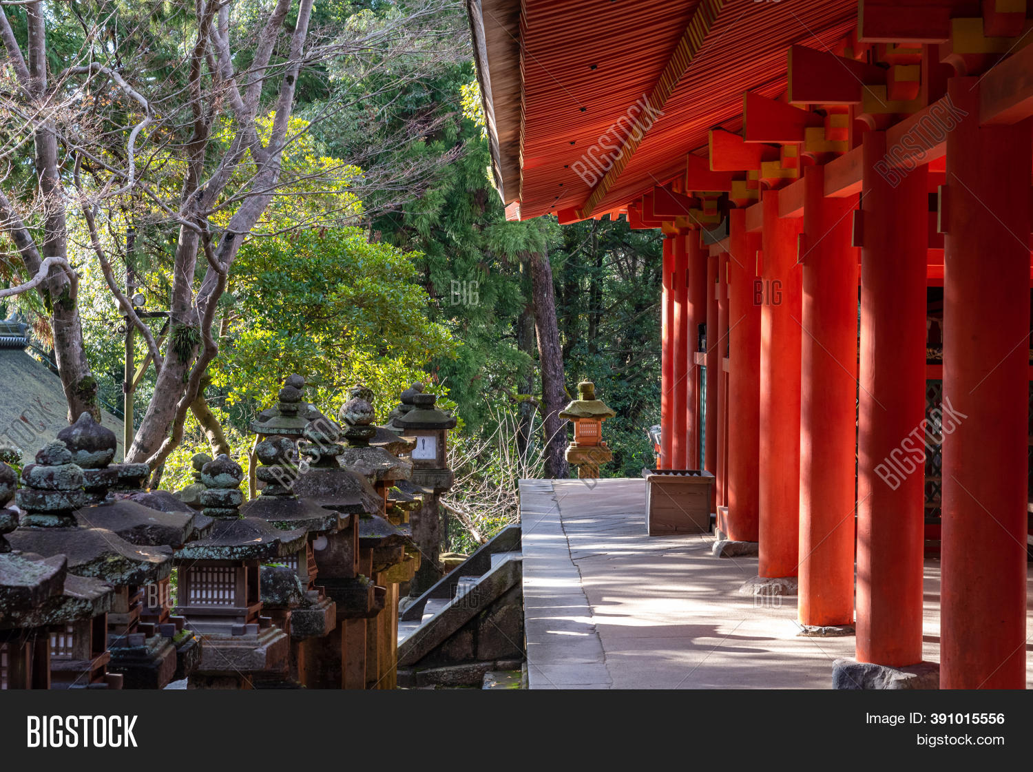 Kasuga Grand Shrine, Image & Photo (Free Trial) | Bigstock
