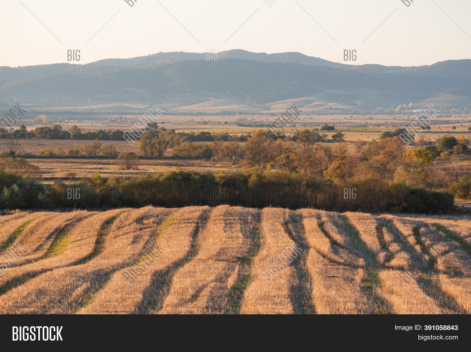 Massive Hay Field Dry Image & Photo (Free Trial) | Bigstock