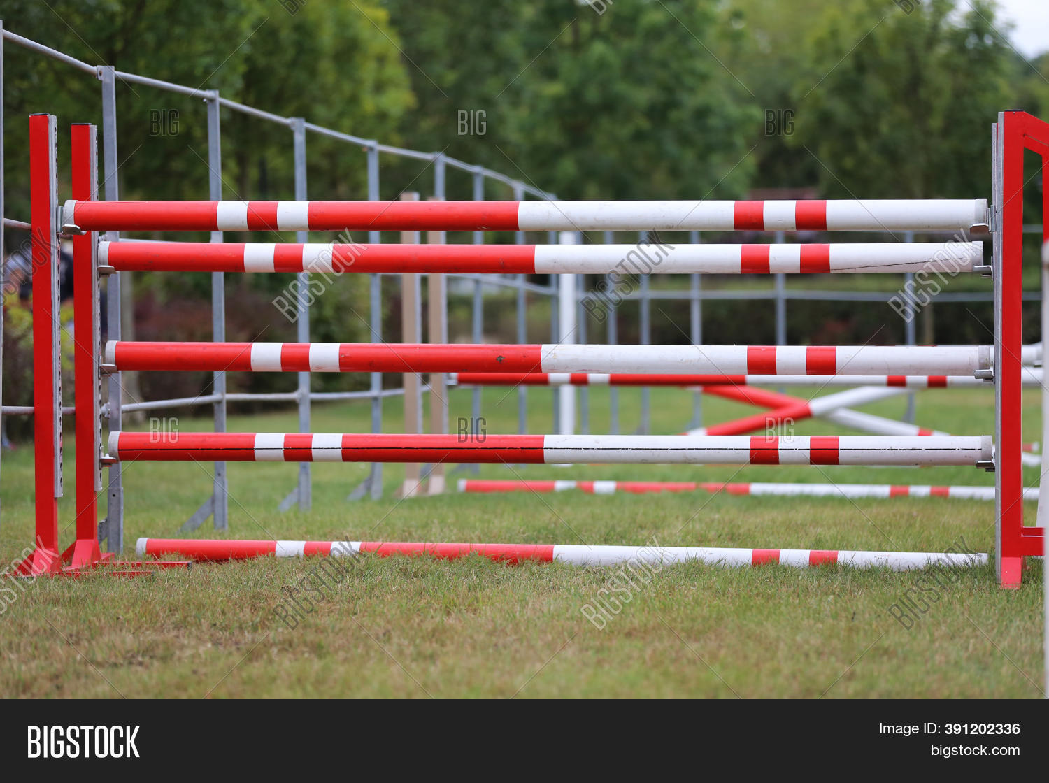 Colorful Image Show Image & Photo (Free Trial) | Bigstock