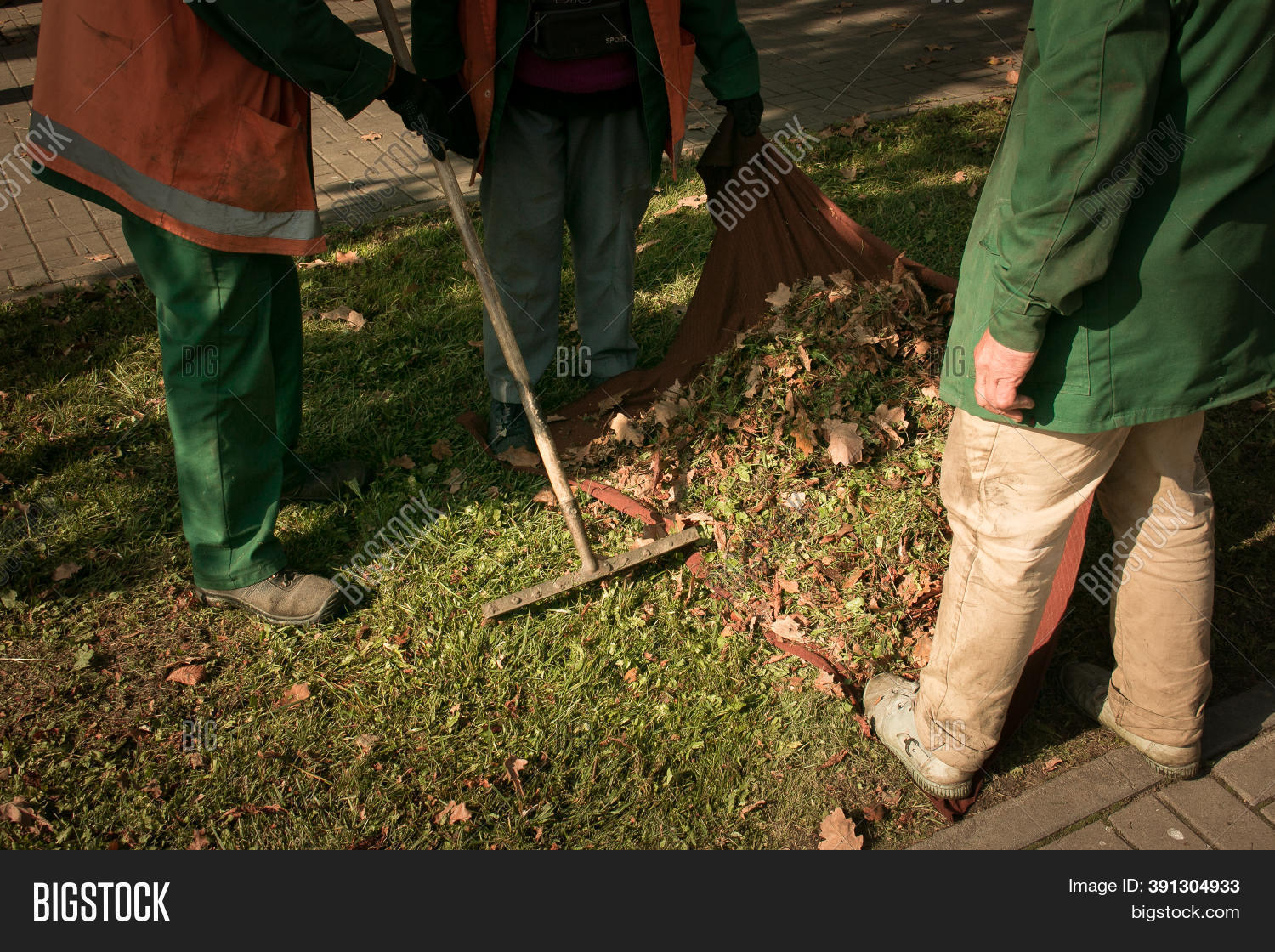 Autumn Work Park. Image & Photo (Free Trial) | Bigstock