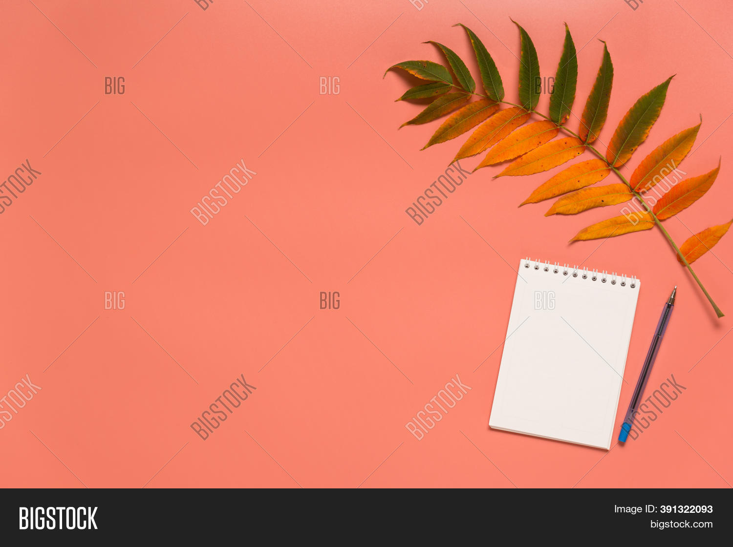 Empty Notepad Page, Image & Photo (Free Trial) | Bigstock