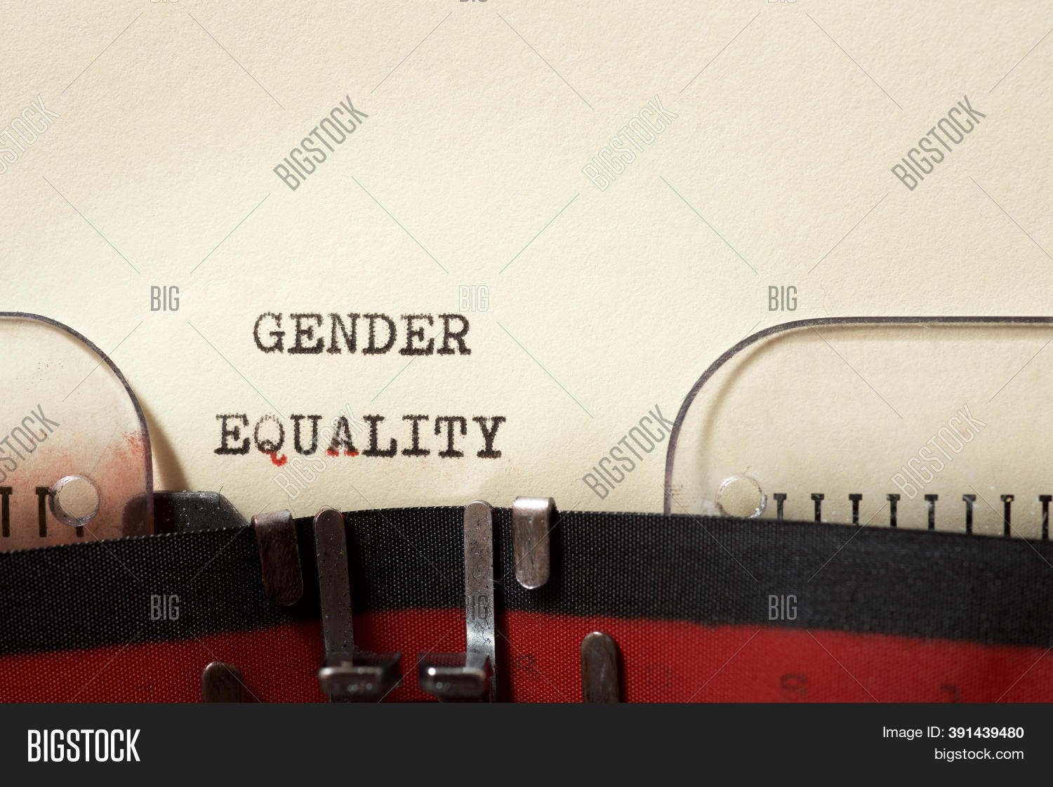 Gender Equality Phrase Image & Photo (Free Trial) | Bigstock