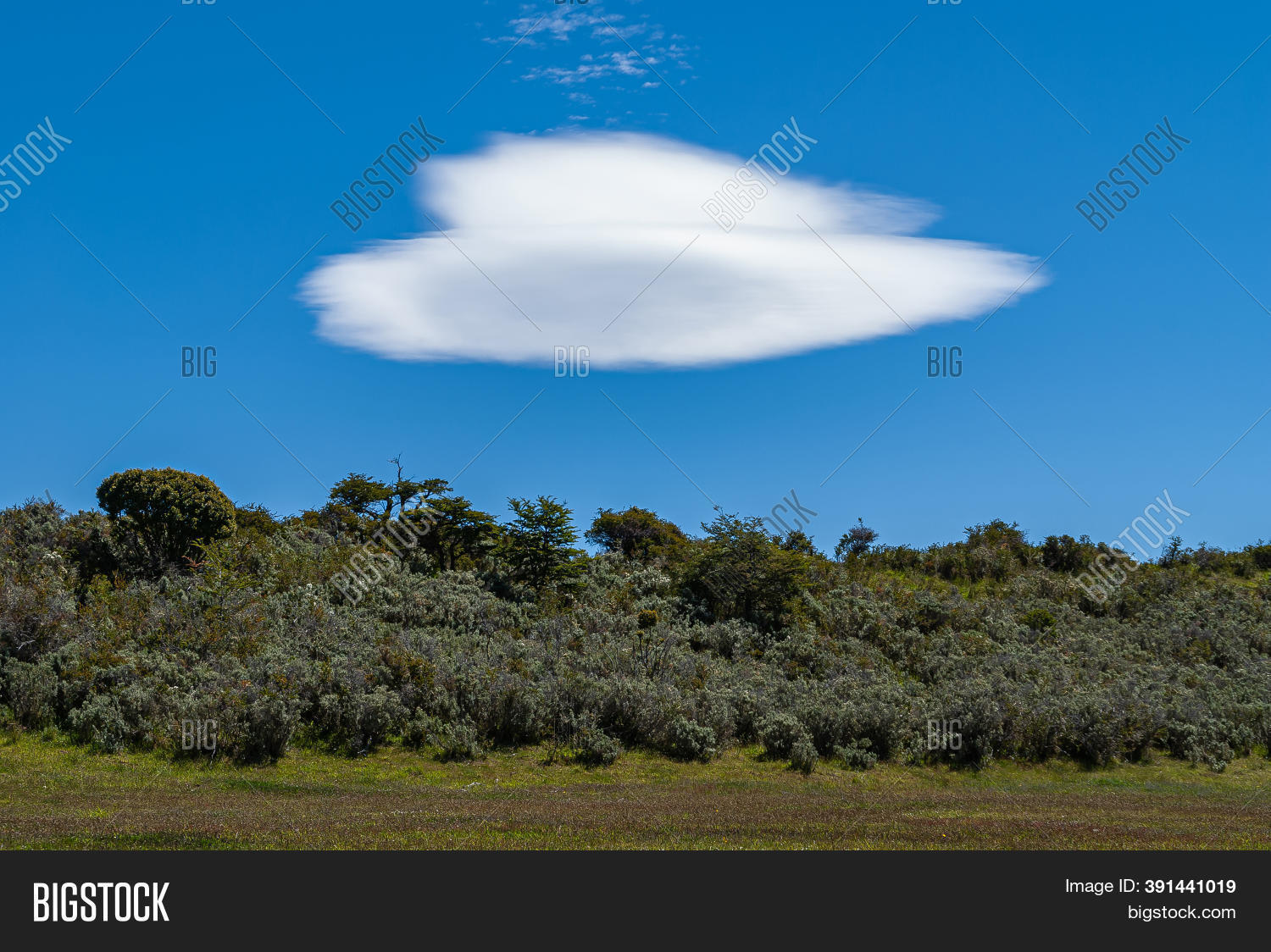 Riesco Island, Chile Image & Photo (Free Trial) | Bigstock
