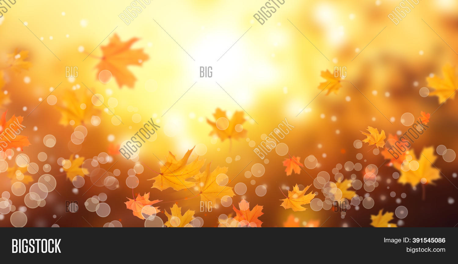 Autumn Background Abstract