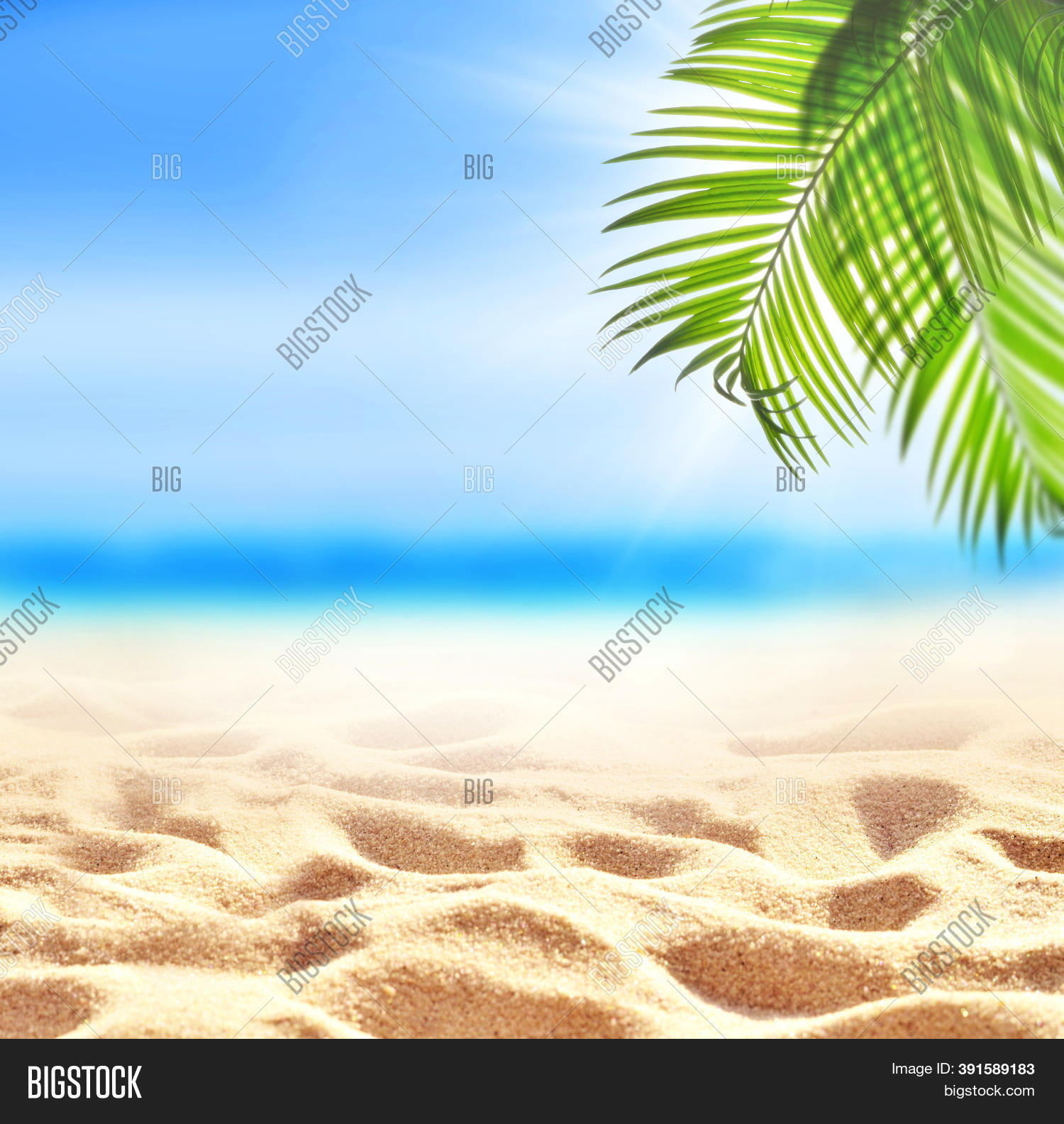 Summer Sand Beach Image & Photo (Free Trial) | Bigstock