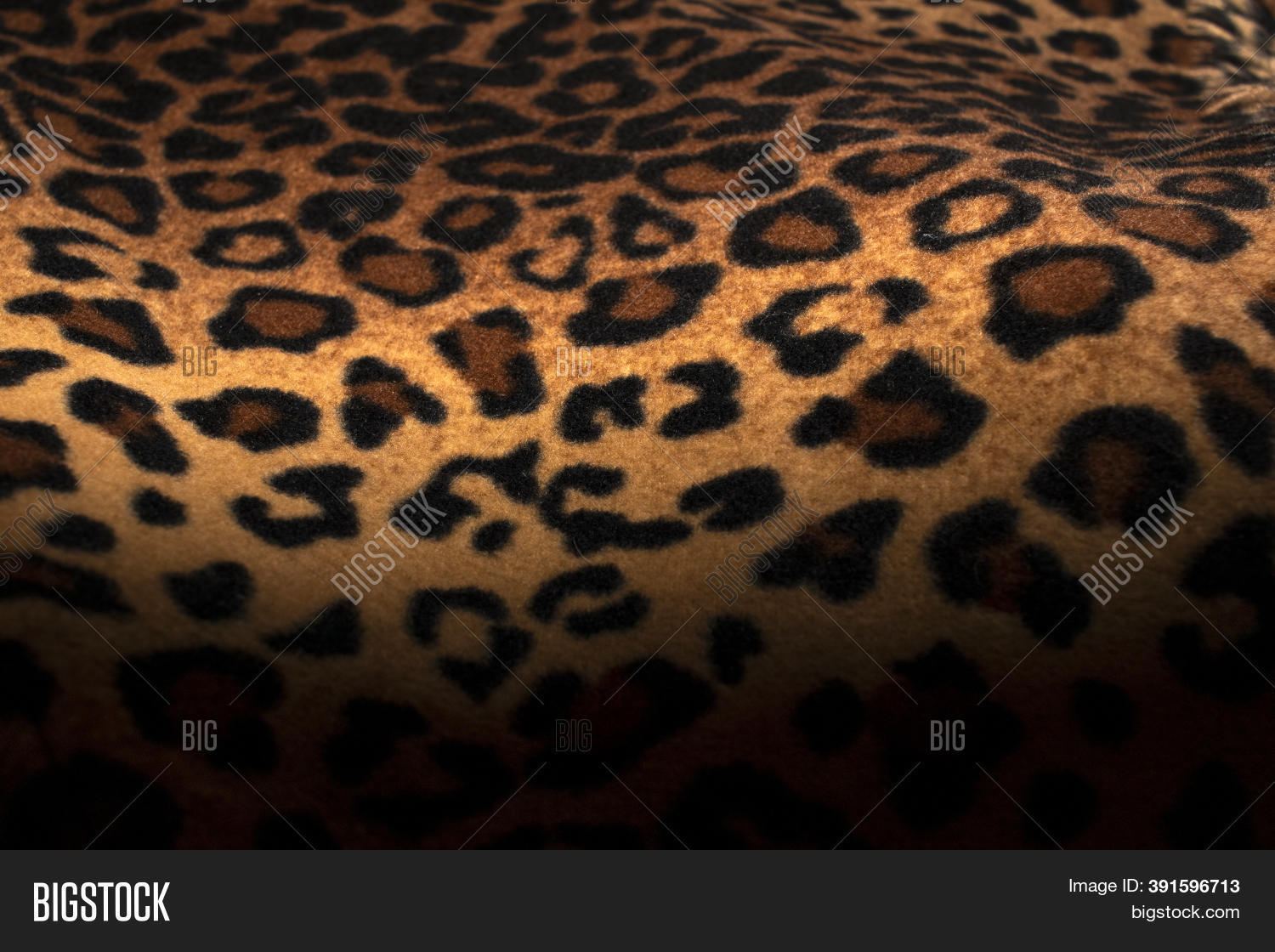 Abstract Leopard Print Image & Photo (Free Trial) | Bigstock