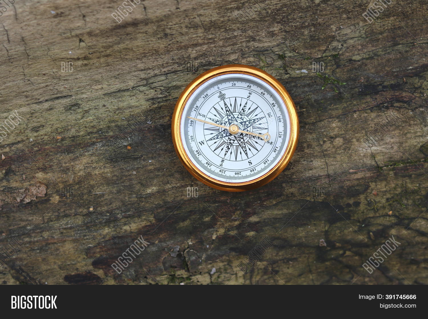 Round Compass On Image & Photo (Free Trial) | Bigstock