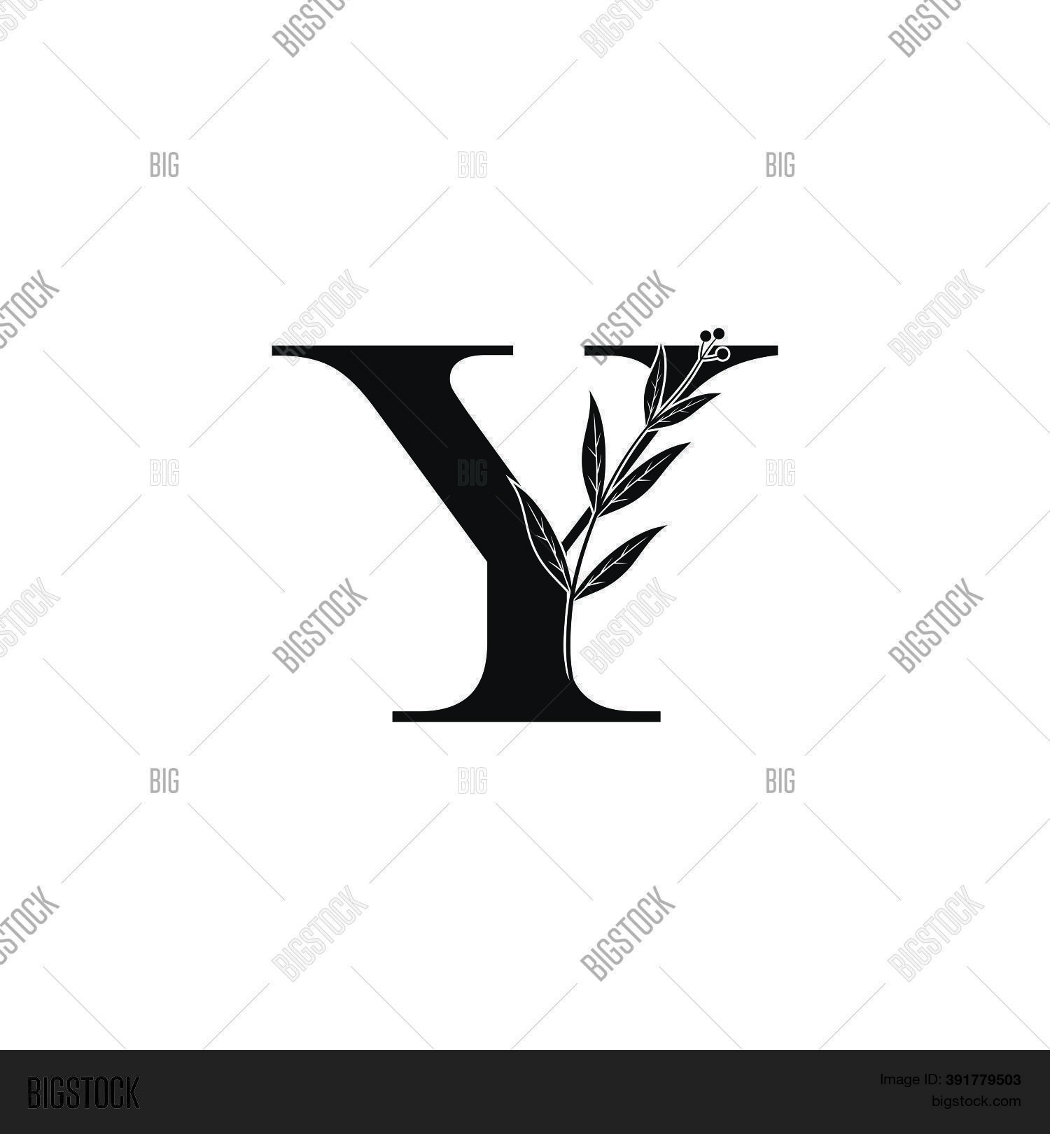Letter Y Logo Icon, Vector & Photo (Free Trial) | Bigstock