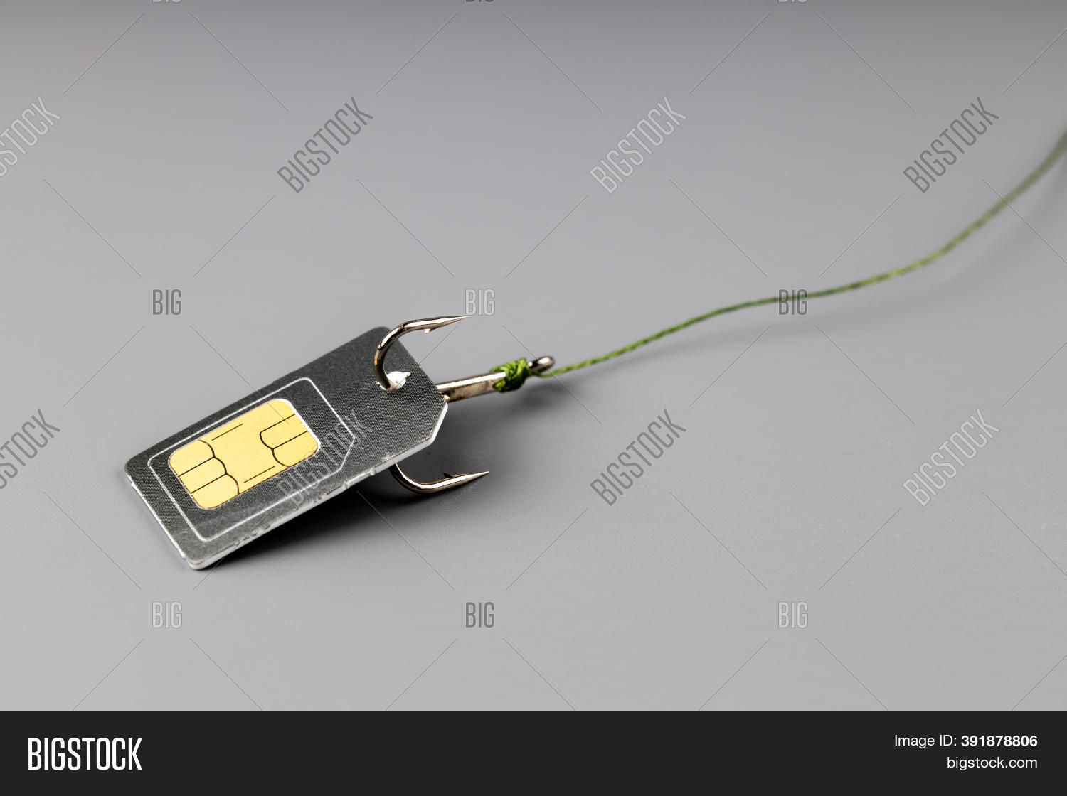 Sim Card On Fishing Image & Photo (Free Trial) | Bigstock