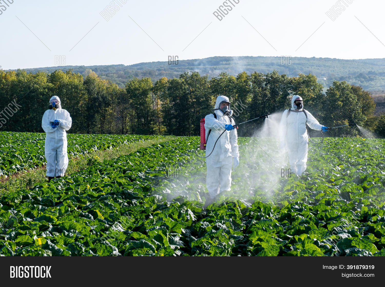 Farmer Spraying Image & Photo (Free Trial) | Bigstock