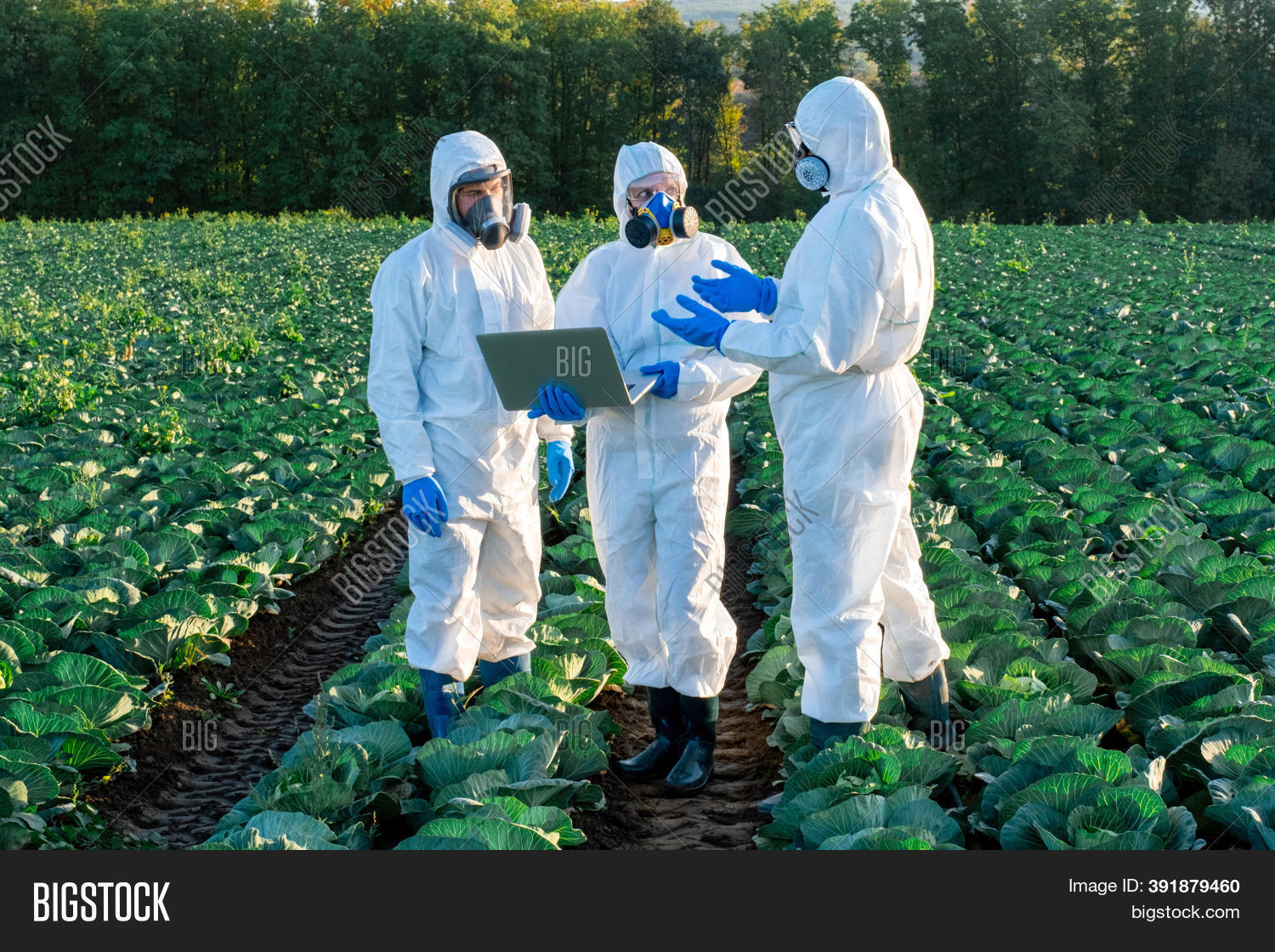 Expertise Protective Image & Photo (Free Trial) | Bigstock