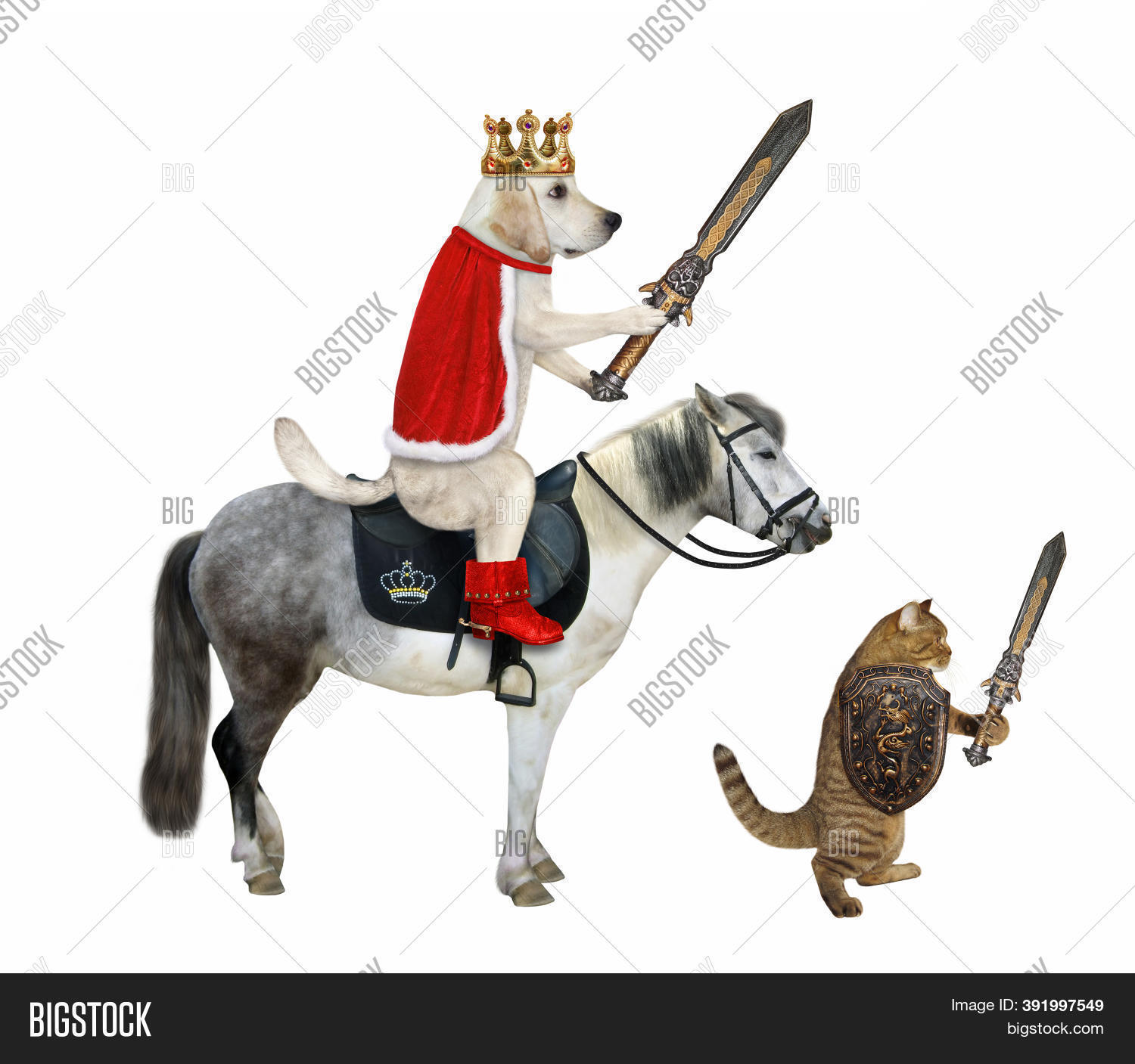 Dog King Gold Crown Image & Photo (Free Trial) | Bigstock