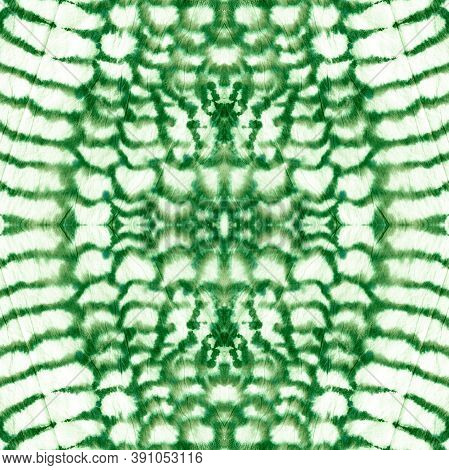 Seamless Predator Image & Photo (Free Trial) | Bigstock