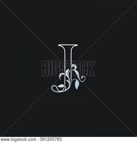 J Letter Outline Vector & Photo (Free Trial) | Bigstock